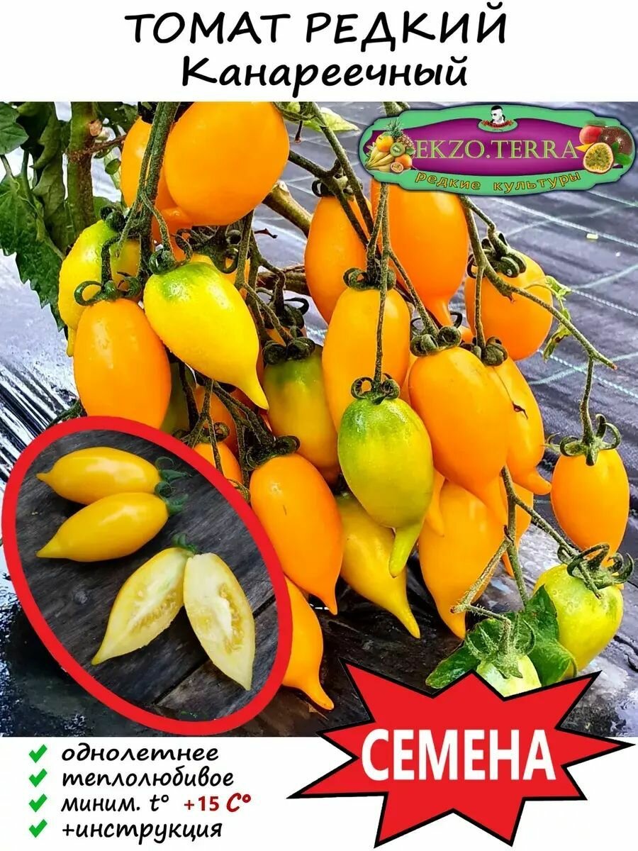 Семена Томат "Канареечный" 5 шт.