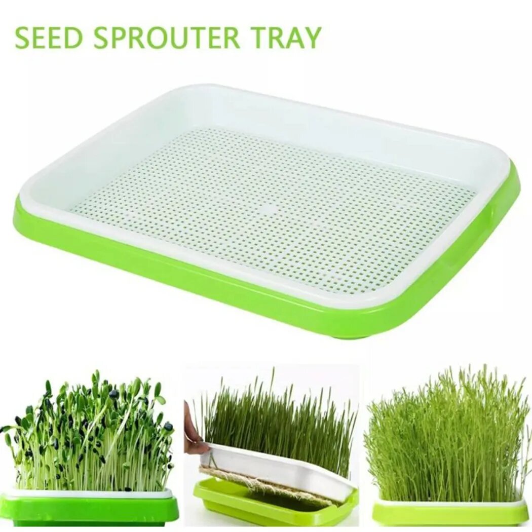 Пластиковый поддон для проращивания микрозелени Green