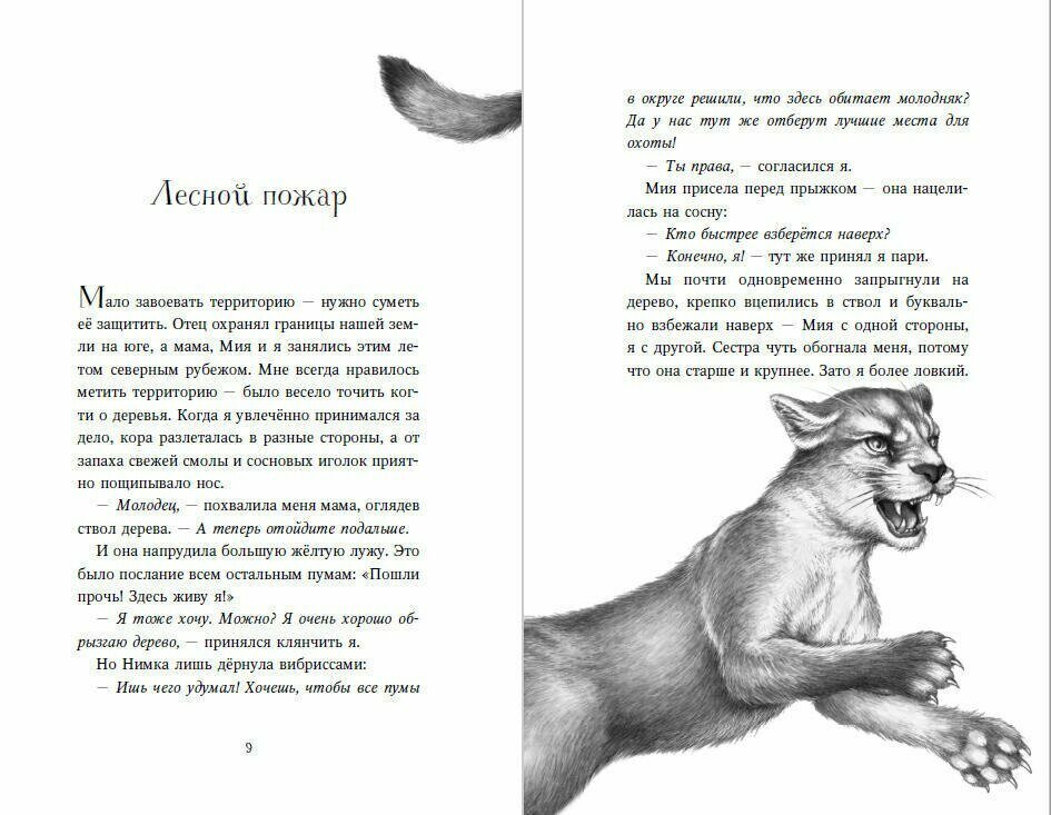 Дети леса. День огня (#6) — фото 1