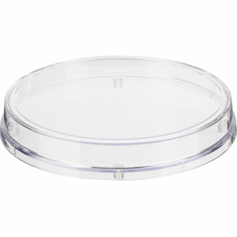 Монетница КНР Пластиковая, круглая, диаметр 172 мм