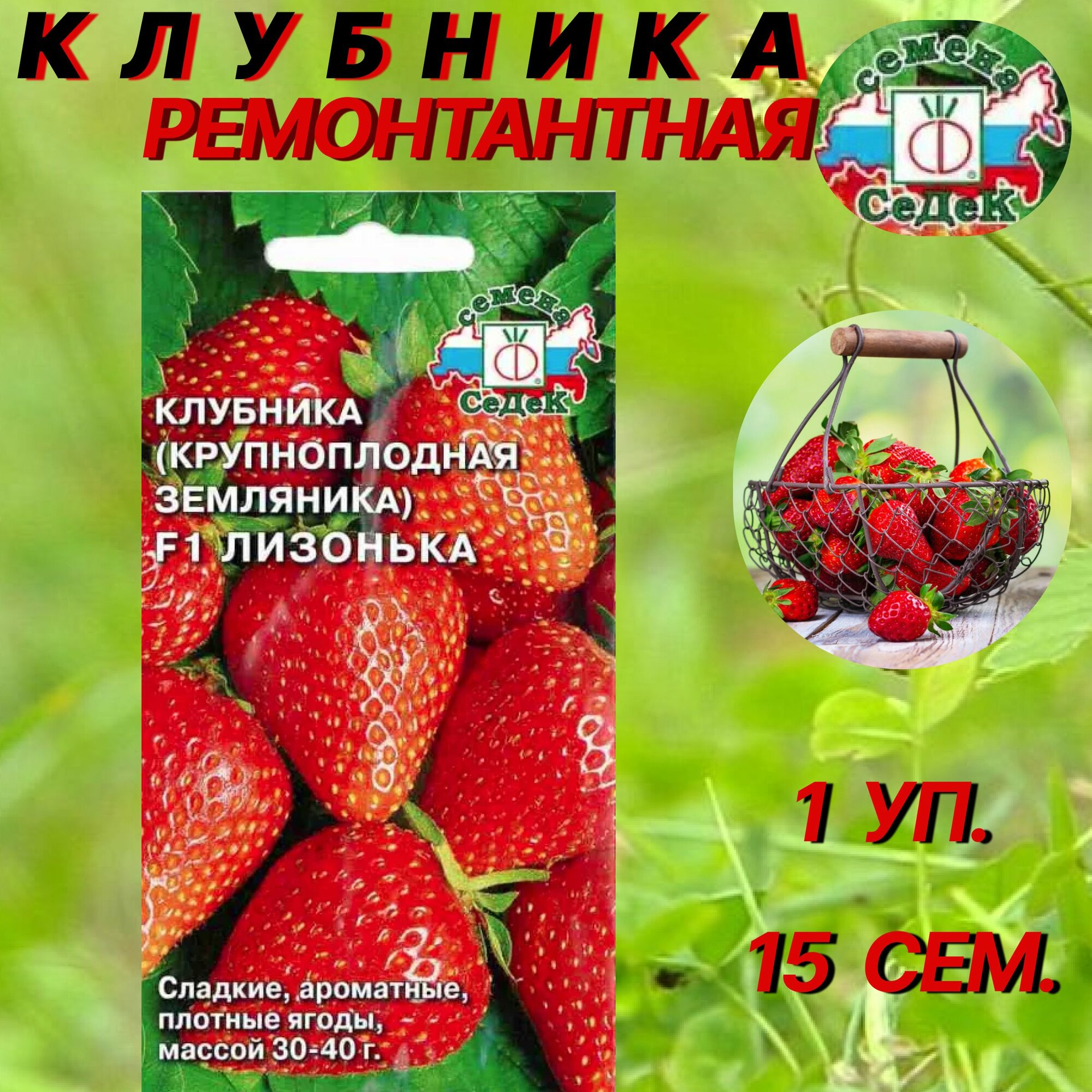 Семена клубники СеДек "Лизонька", ультраскороспелая, ремонтантная (1 упаковка)