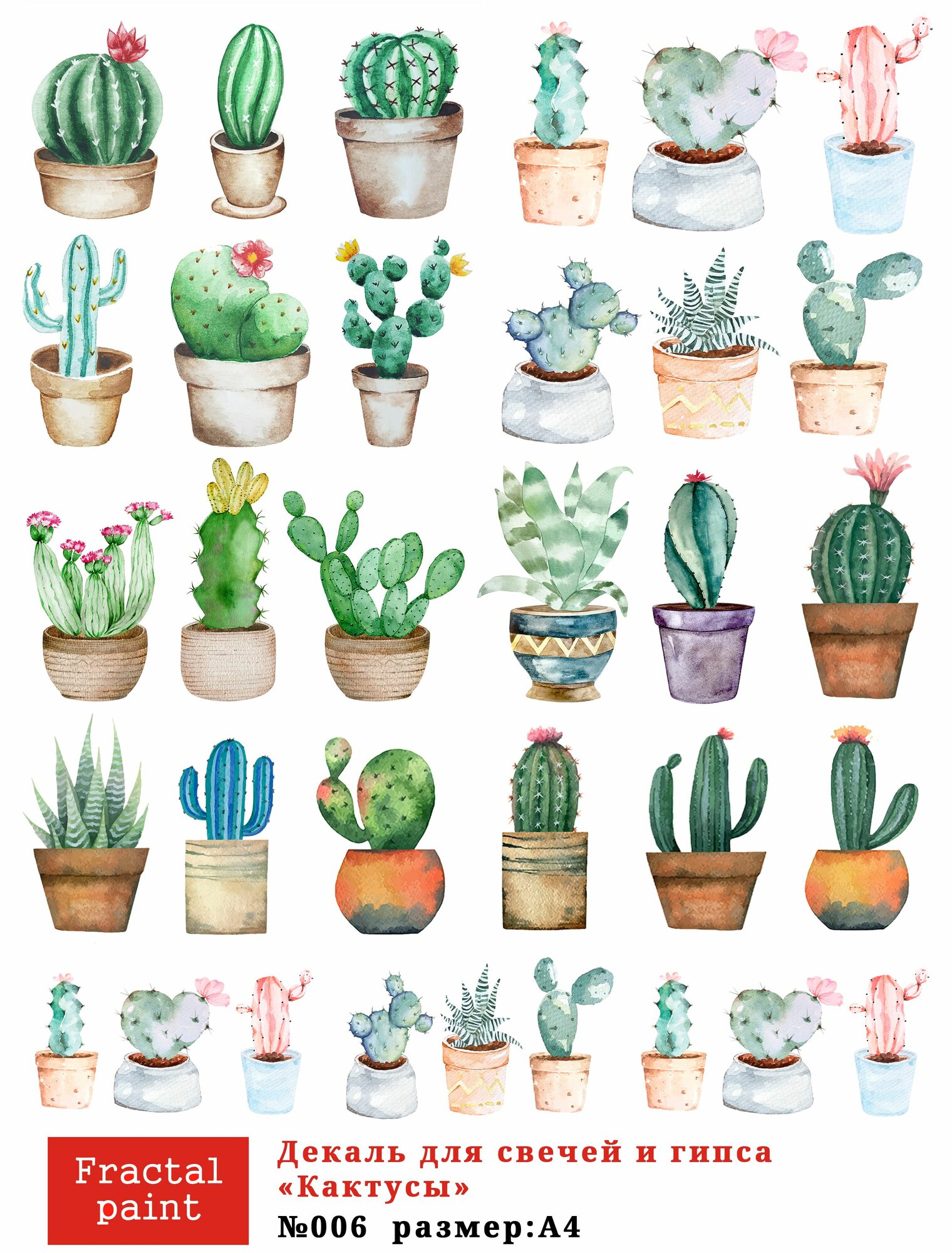 Трансфер для декупажа, декали для свечей и гипса кактусы 006 (А4)