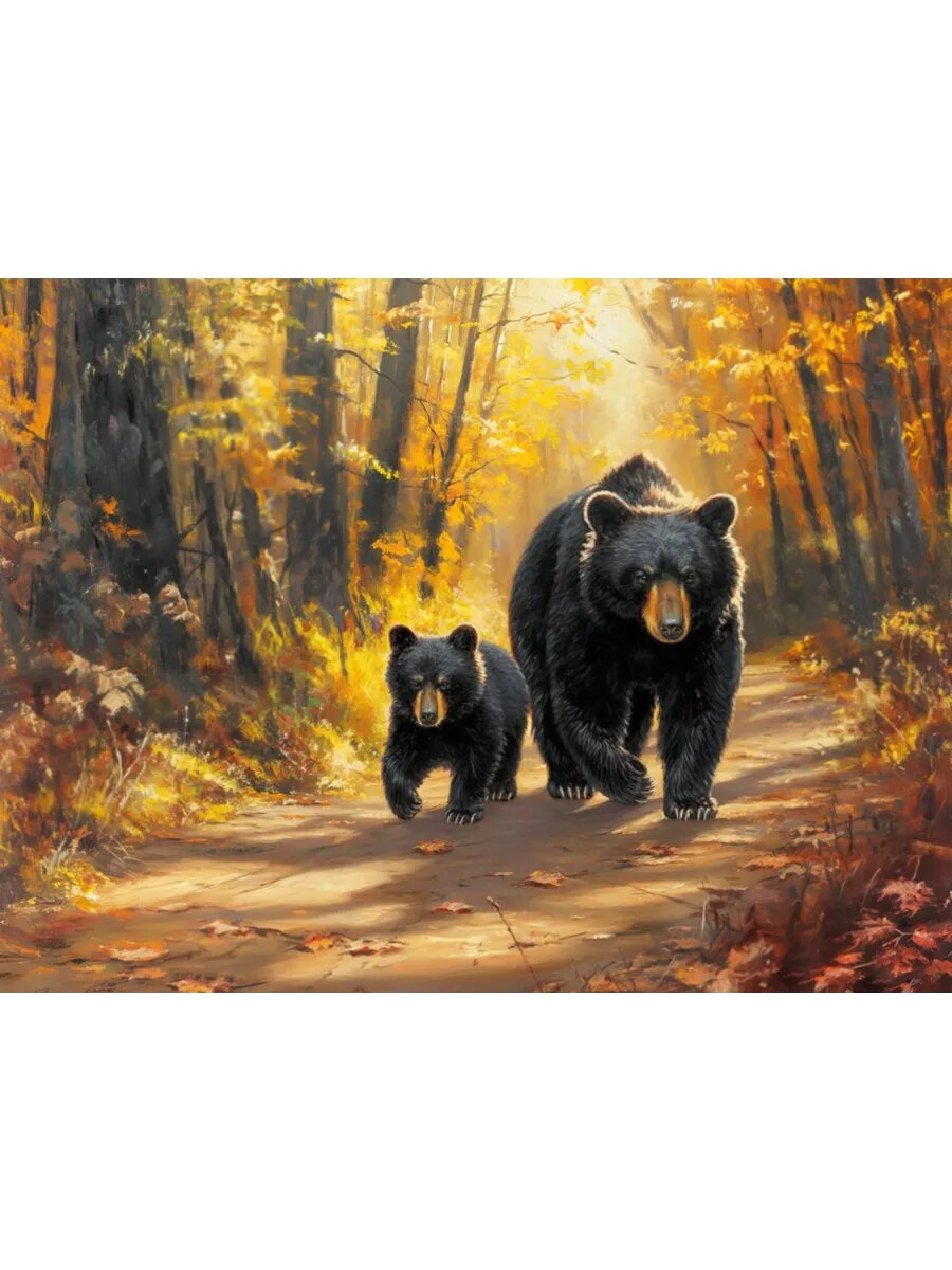Картина по номерам медведи 40х50