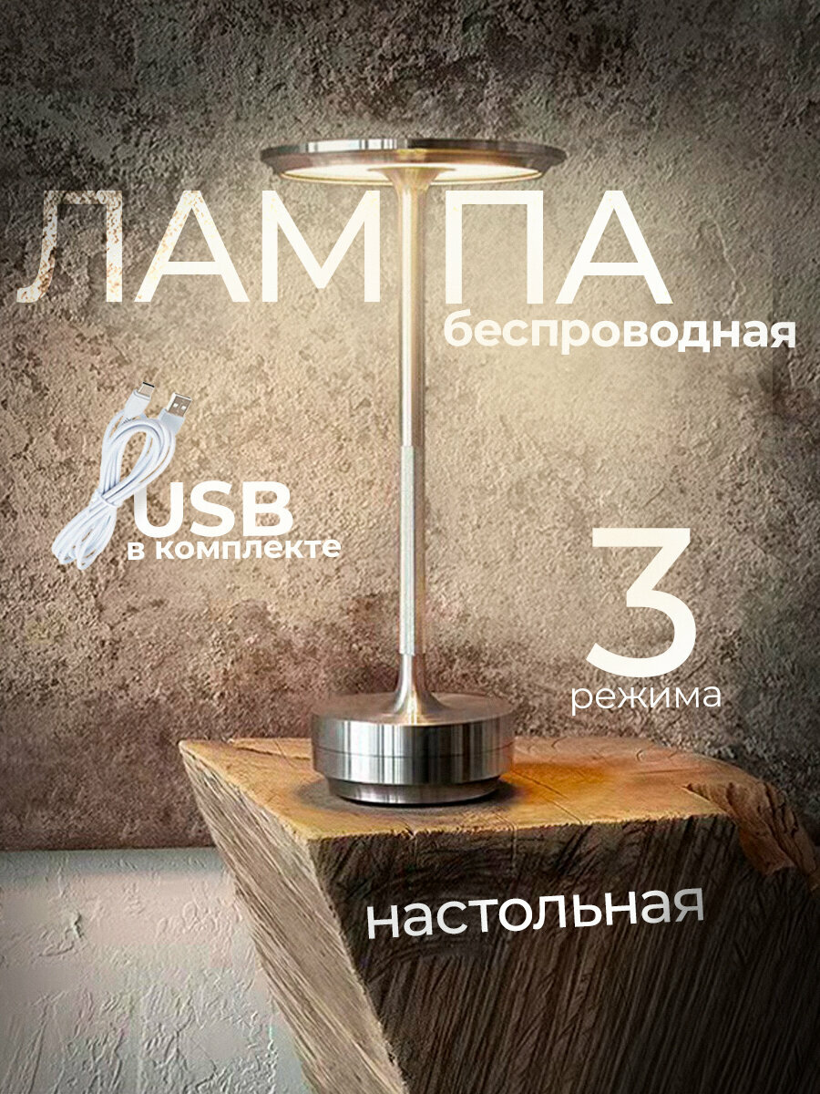 Настольная лампа интерьерная светодиодная беспроводная Bliss Silver серебристый светильник