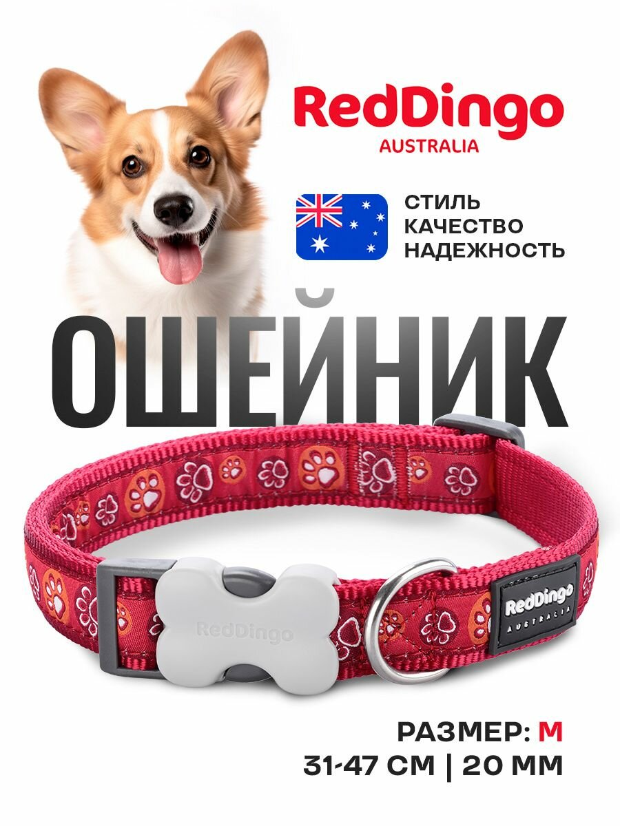 Ошейник для собак средних пород Red Dingo, красный