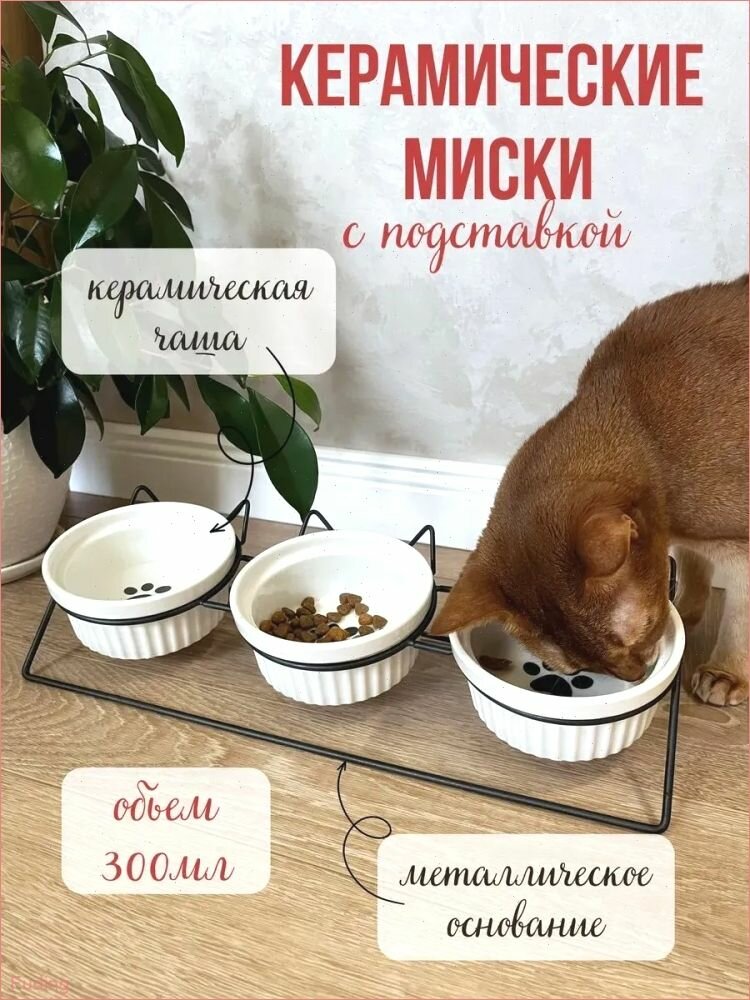 Миска для собак и кошек керамическая тройная