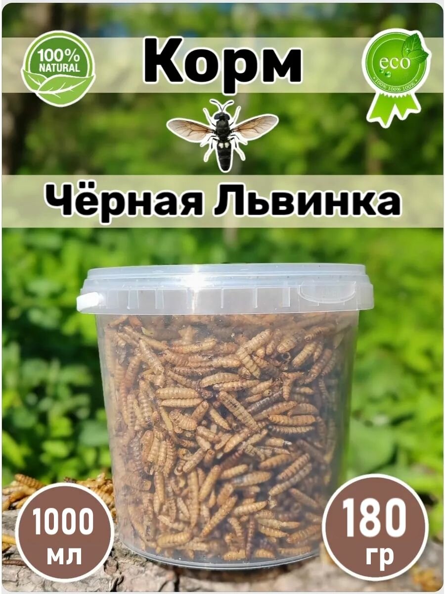 Корм для крыс, хомяков, птиц, черепах черная львинка и лакомство для грызунов, попугаев, водных и сухопутных черепах и рептилий