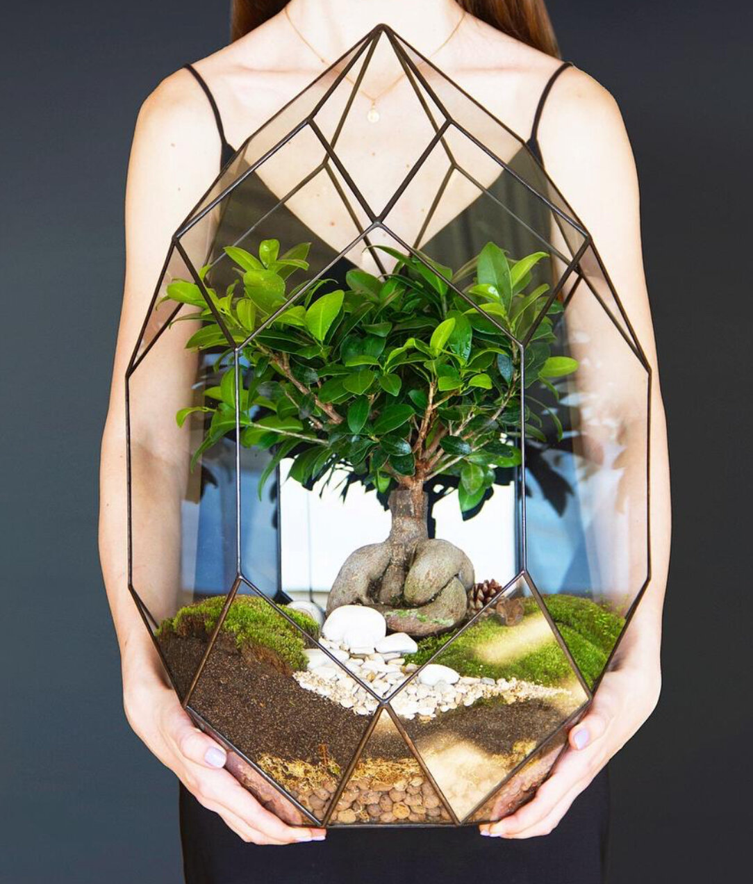 Бонсай большой флорариум King Florik