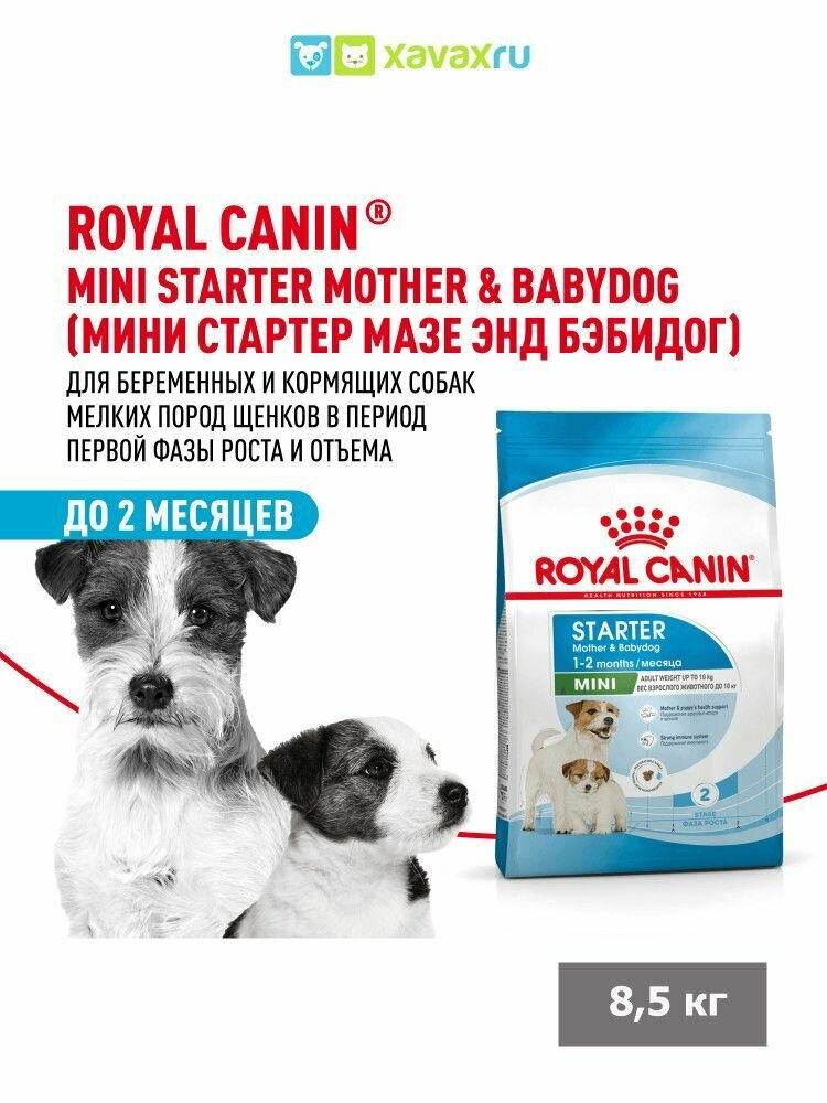 Сухой корм Royal Canin Mini Starter для щенков мелких размеров до 2-х месяцев, беременных и кормящих сук, 8.5 кг