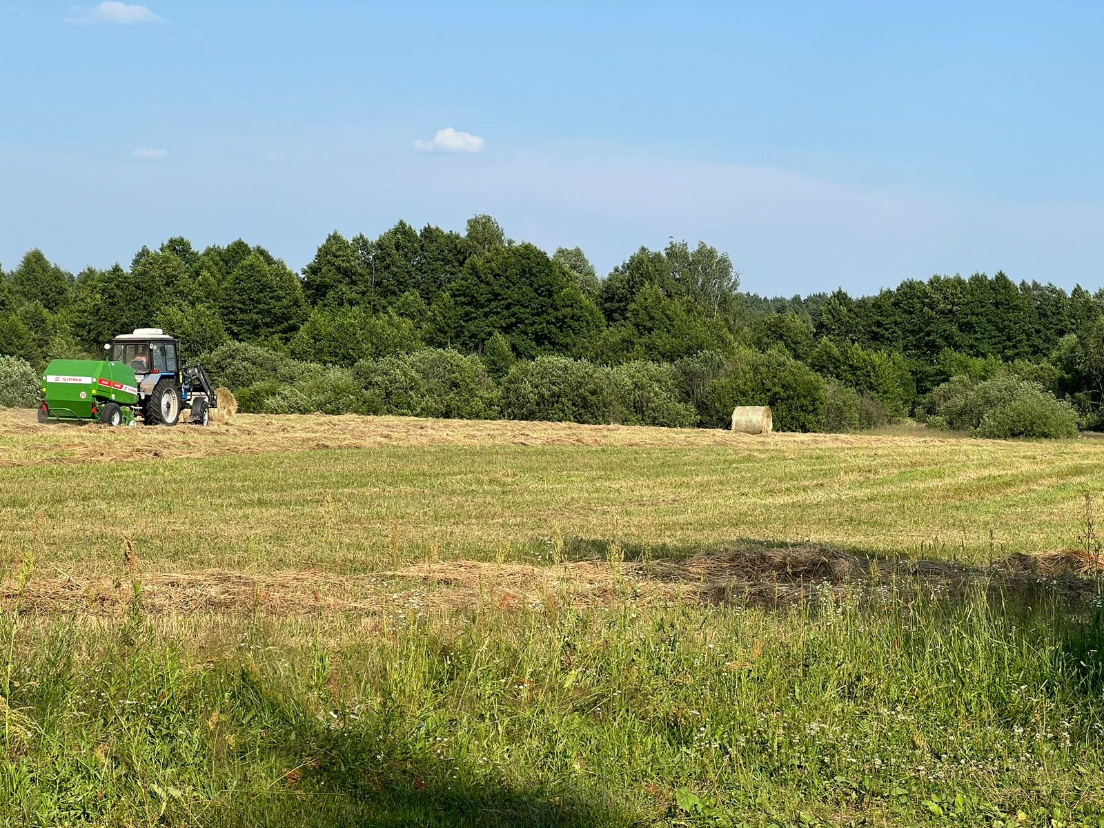 Сено луговое 500 гр, для морских свинок, кроликов и грызунов