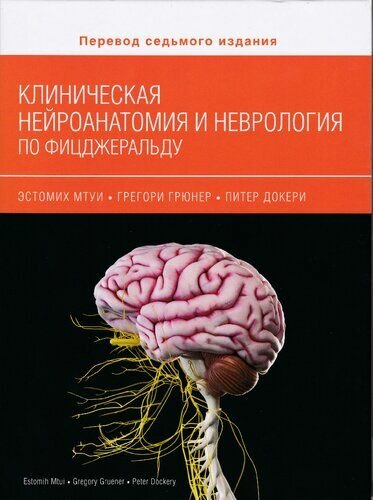 Клиническая нейроанатомия и неврология по Фицджеральду Reprinted books