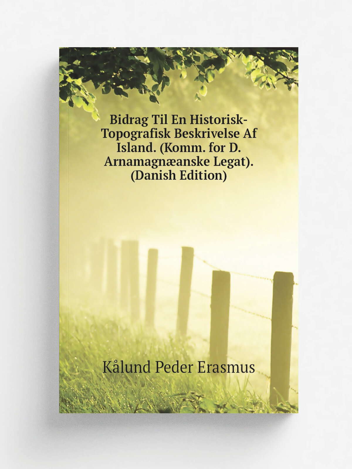 Bidrag Til En Historisk-Topografisk Beskrivelse Af Island. (Komm. for D. Arnamagn.anske Legat). (Danish Edition) | K.lund Peder Erasmus | Репринт