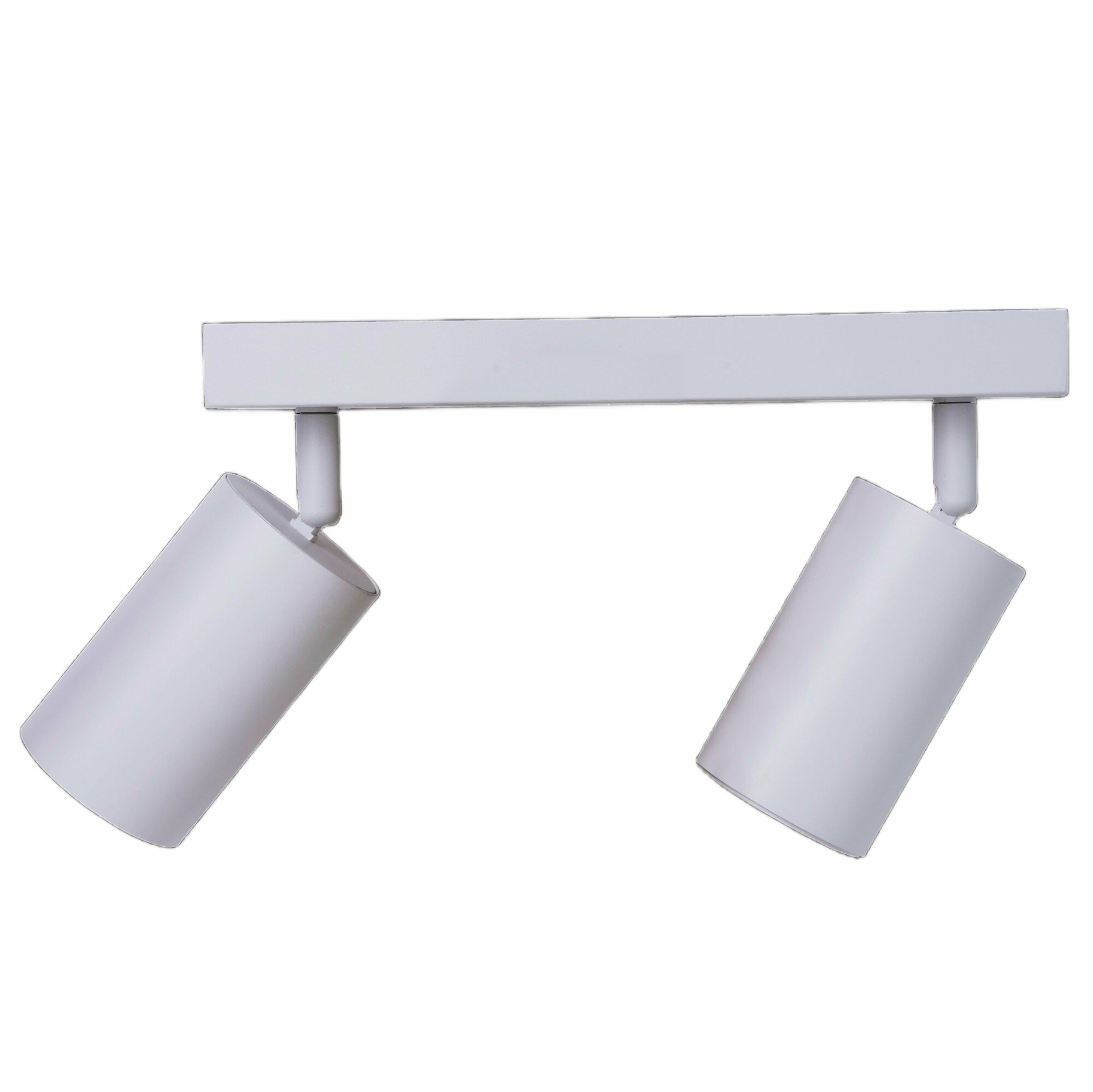 Потолочный светильник-спот BRIZZI ARAS BR08083