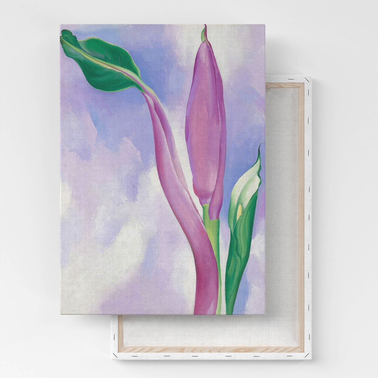Картина на холсте, репродукция / ОКифф Джорджия - Pink Ornamental Banana / Размер 40 x 53 см