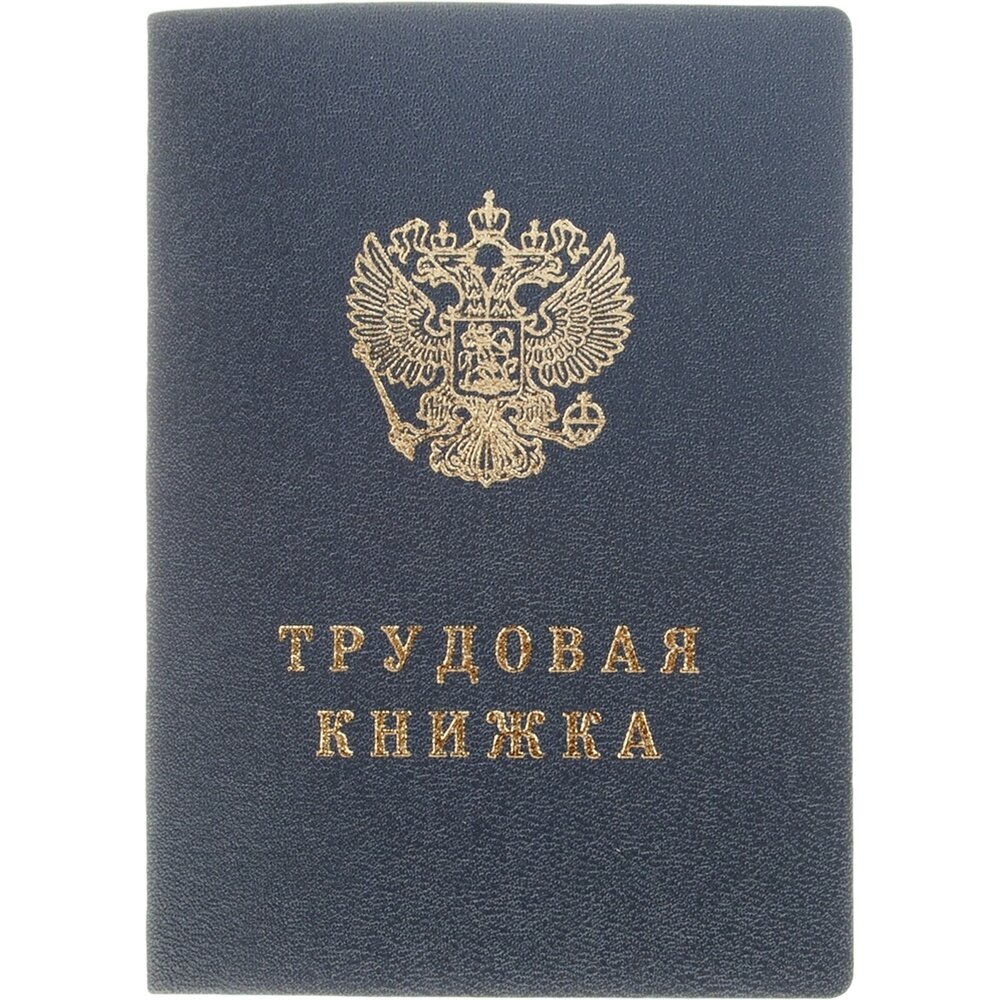 Набор из 2 шт Трудовая книжка Гознак Бланк, новый 2023 год