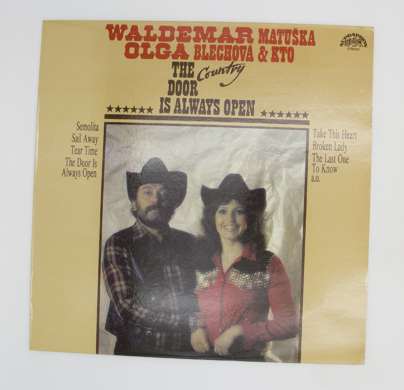 Виниловая пластинка Вальдемар Матушка - The Country Door Is Always Open, 1xLP, NM