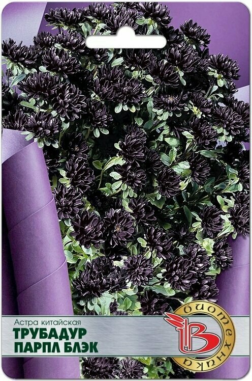 Семена Астры китайской "Трубадур Парпл Блэк" (20 семян)