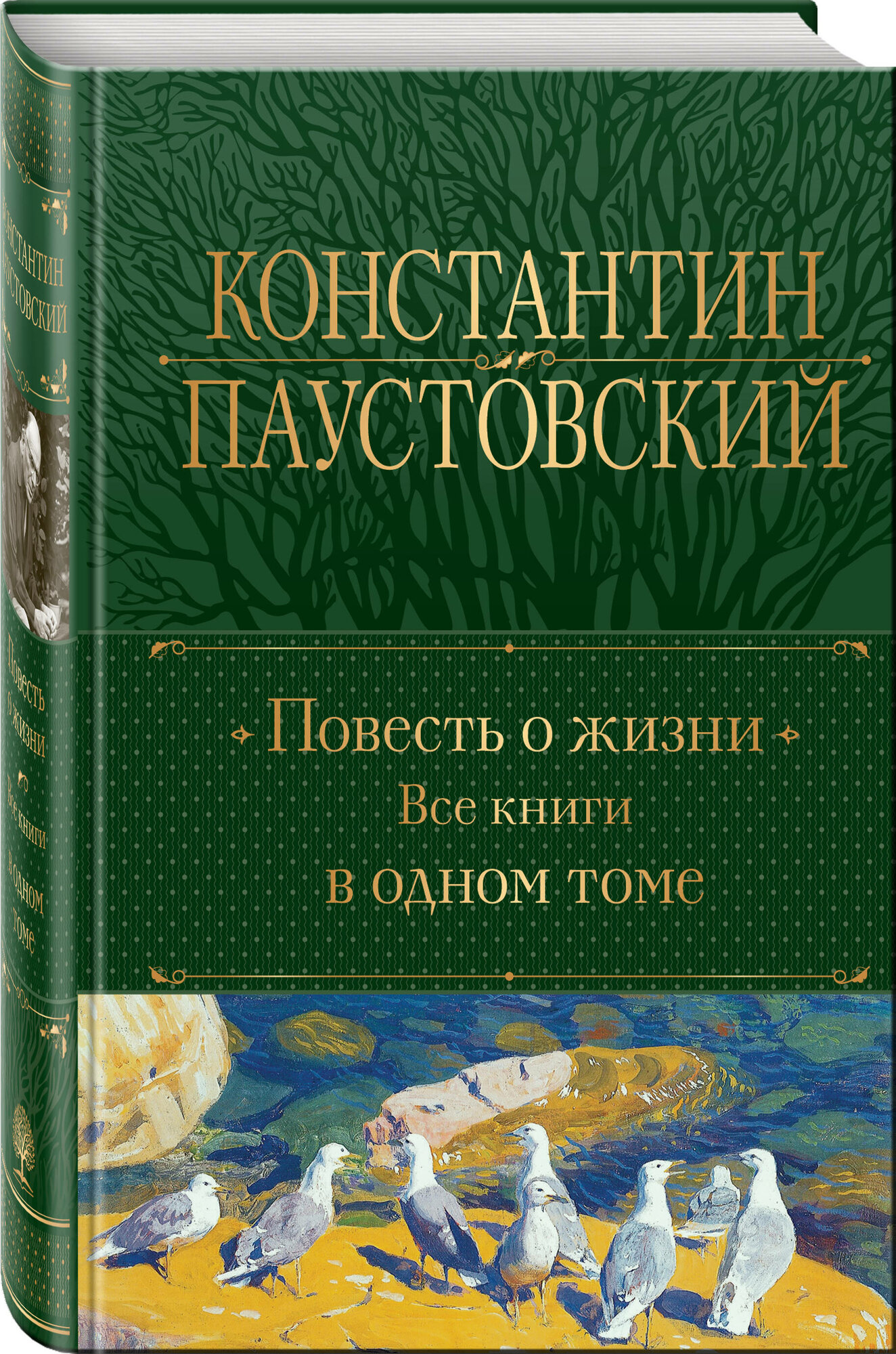 Паустовский К. Г. Повесть о жизни. Все книги в одном томе