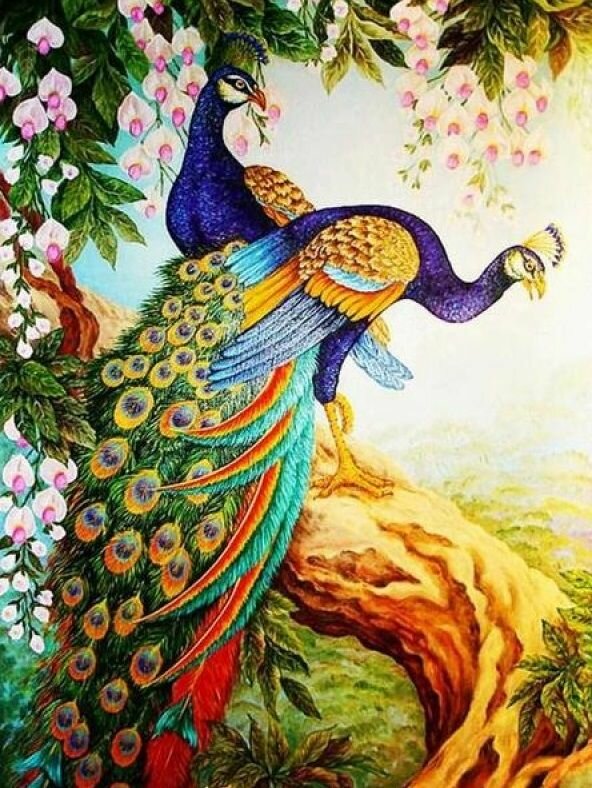 Алмазная мозаика на подрамнике / Картина стразами "Павлины" 40х50 , сложность 5, цветов 23, Komas