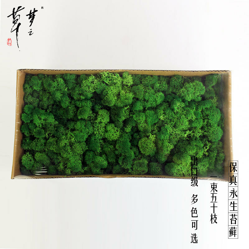 Вечный мох, Юньнаньский, роговой, для DIY, цветочный материал, упаковка сухих цветов, 500г