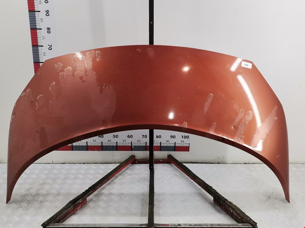 Капот Renault Scenic 2 651001097R арт. 1743386