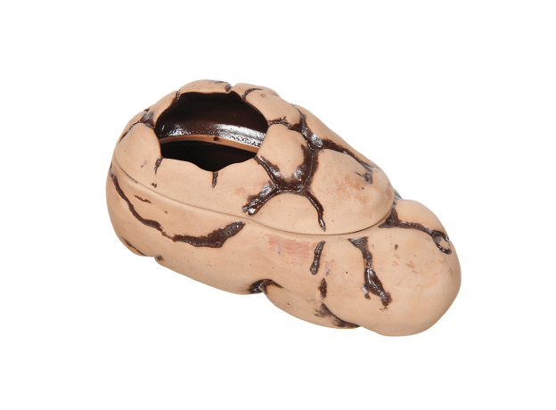 Влажная камера Gloxy для рептилий, 17×7х8 см