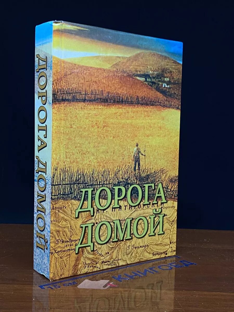 Книга. Дорога домой 2011 (2040801052400)
