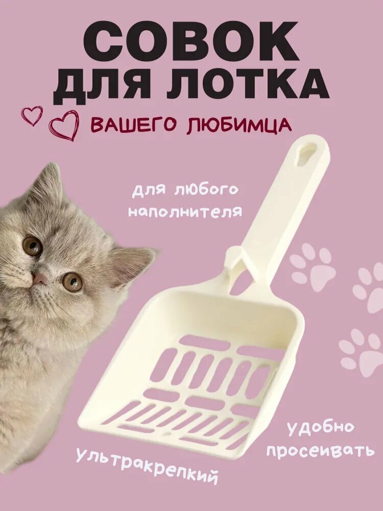 Совок для кошачьего туалета, лопатка для лотка
