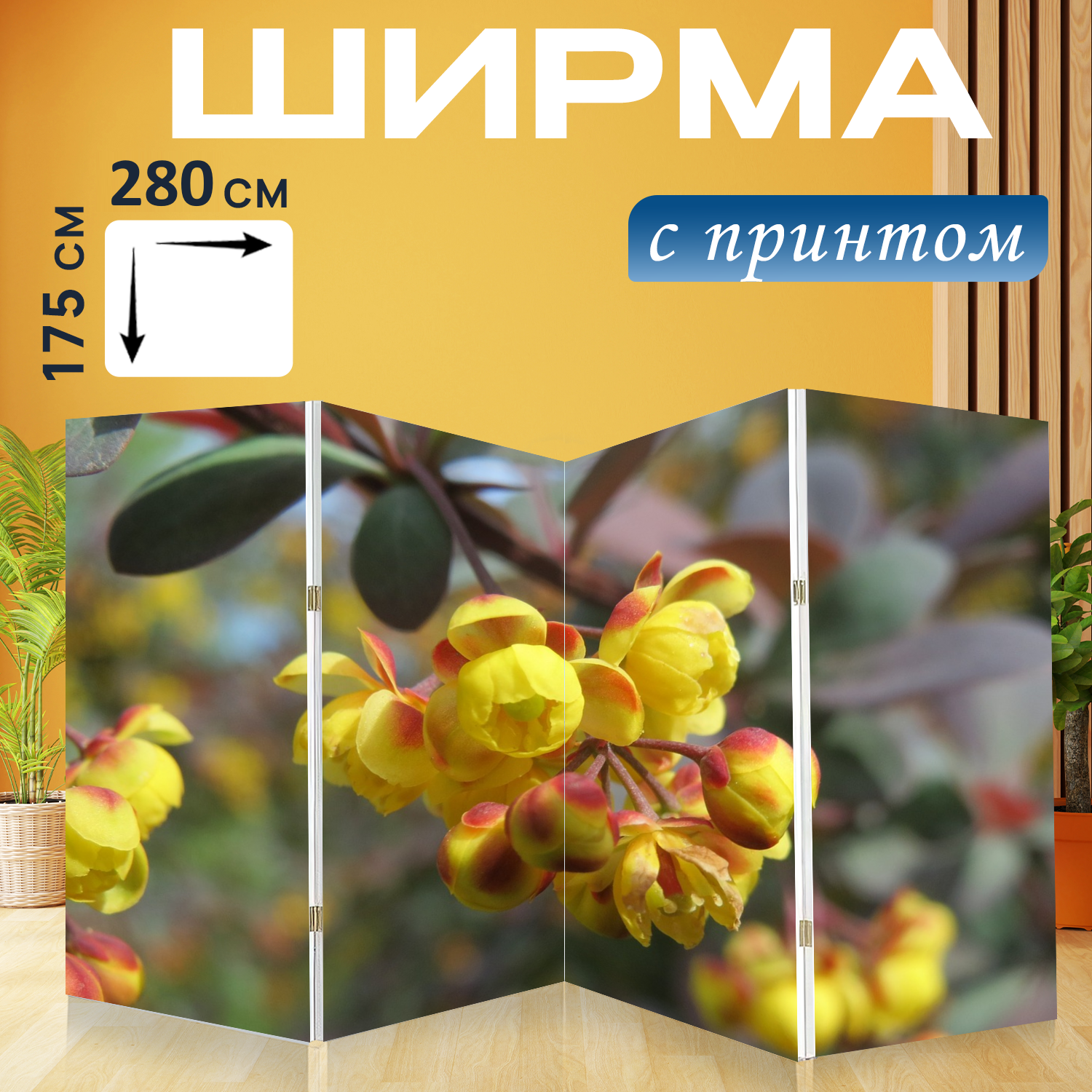 Ширма "Берберис, барбарис, кустарник" перегородка для зонирования комнаты с принтом 280x175 см. на холсте