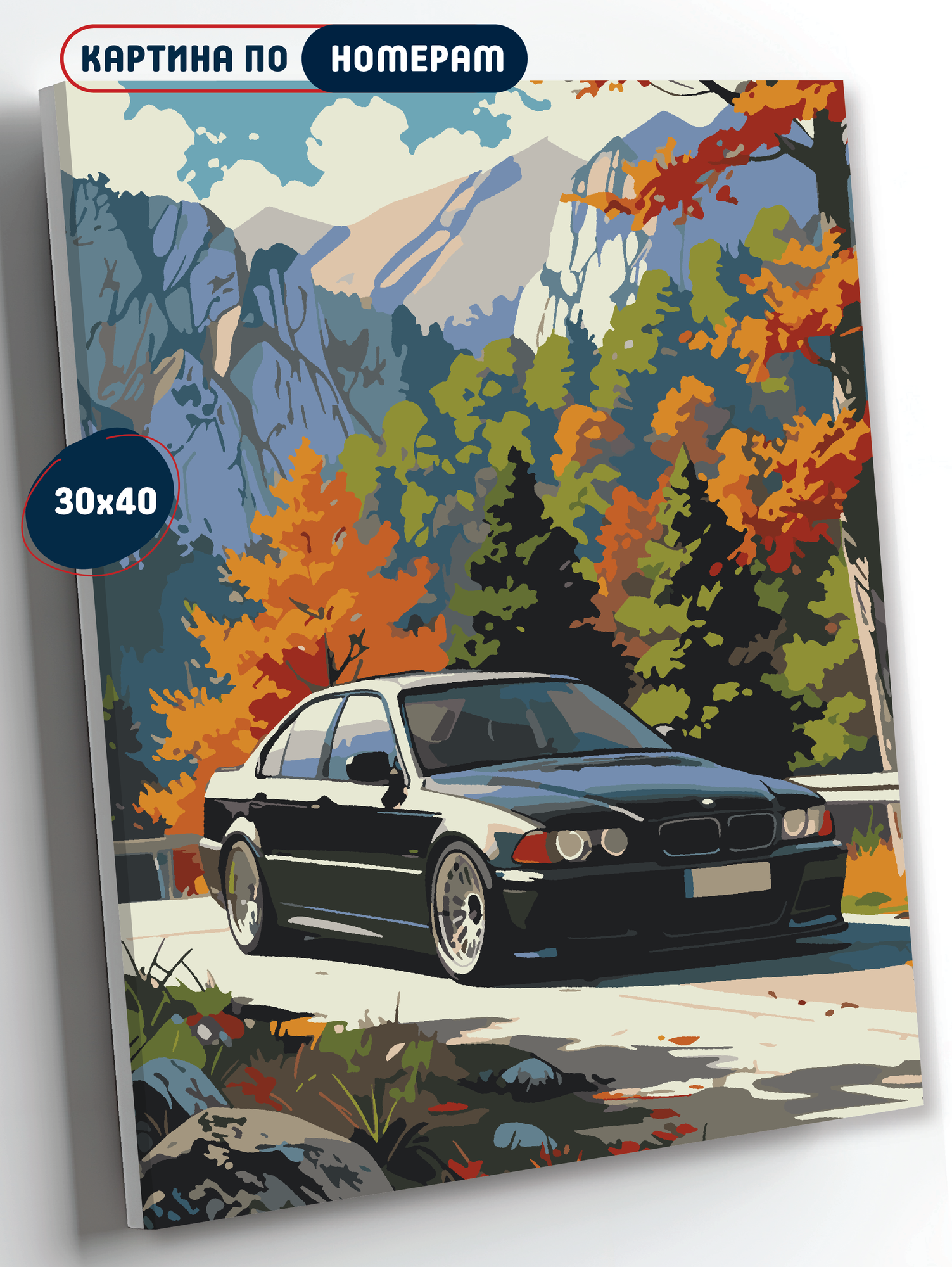 Картина по номерам "BMW E39 №1", Холст на подрамнике 30х40