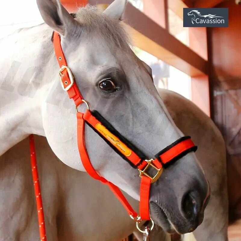 Набор уздечки и поводья