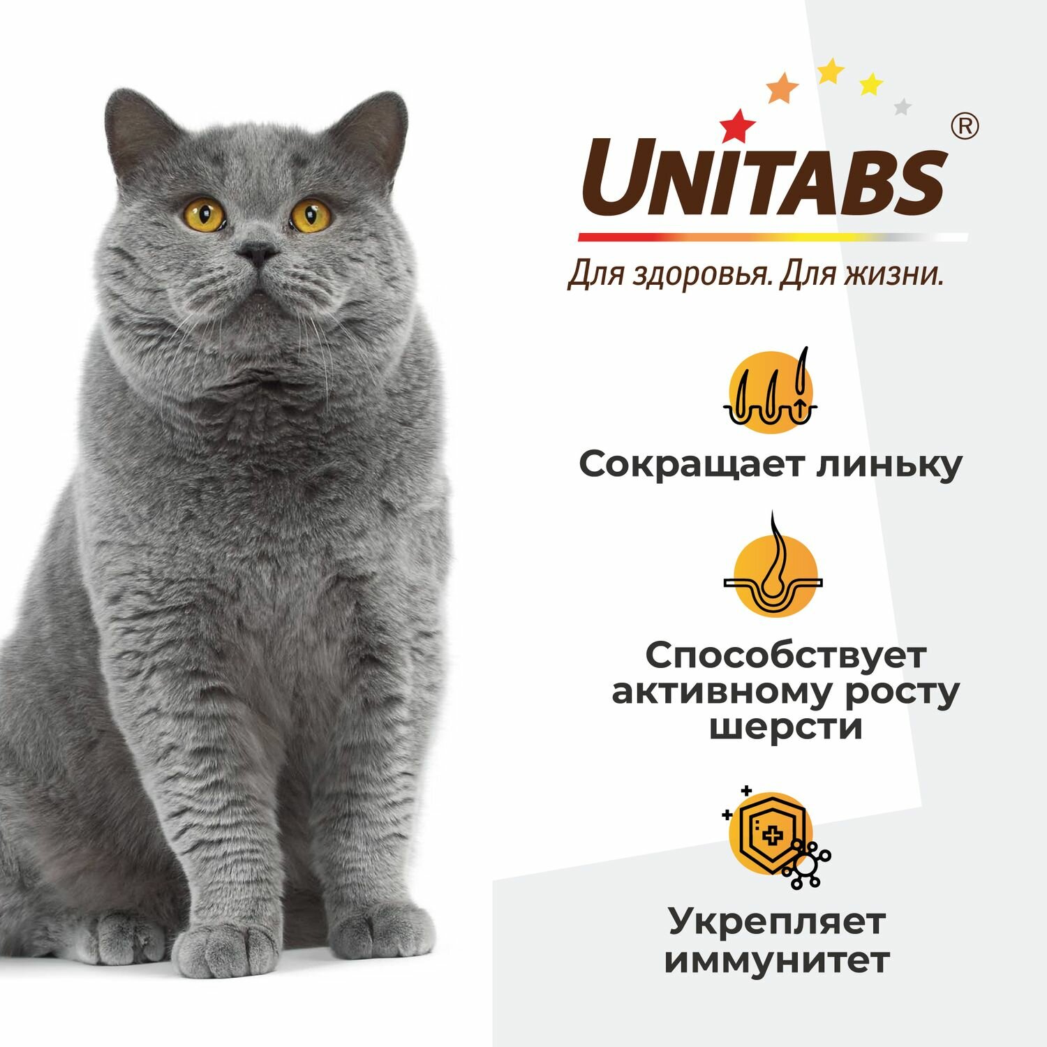 Витамины Unitabs "Total", для кошек, для шерсти, кожи, ЖКТ, мультивитамины 20 мл, 1 шт — фото 1