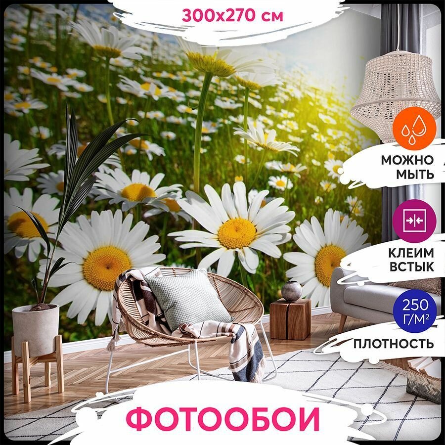 Фотообои 3d на стену флизелиновые 300х270 Printwalls, моющиеся, на кухню, в детскую, в спальню