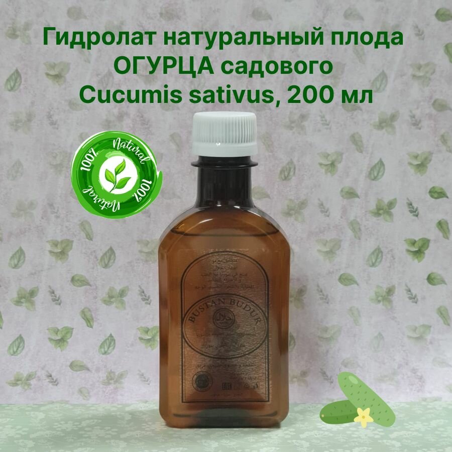 Гидролат натуральный плода огурца садового Cucumis sativus, 200 мл Bustan Budur