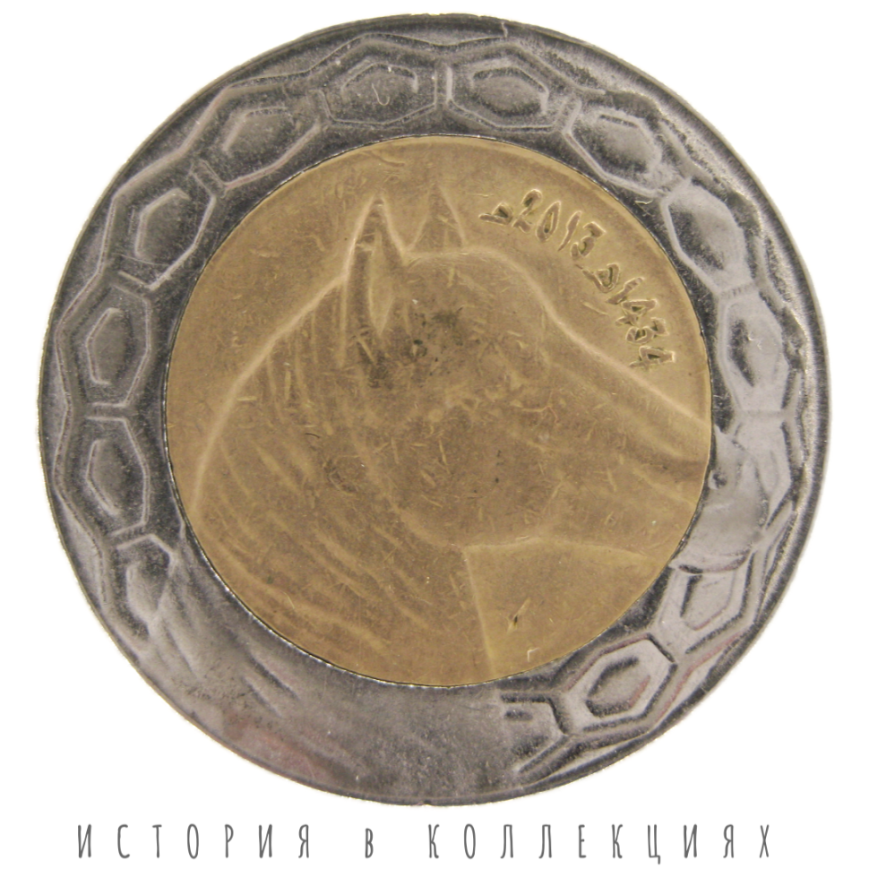 Алжир 100 динаров 2013 Арабский скакун / коллекционная монета (XF)