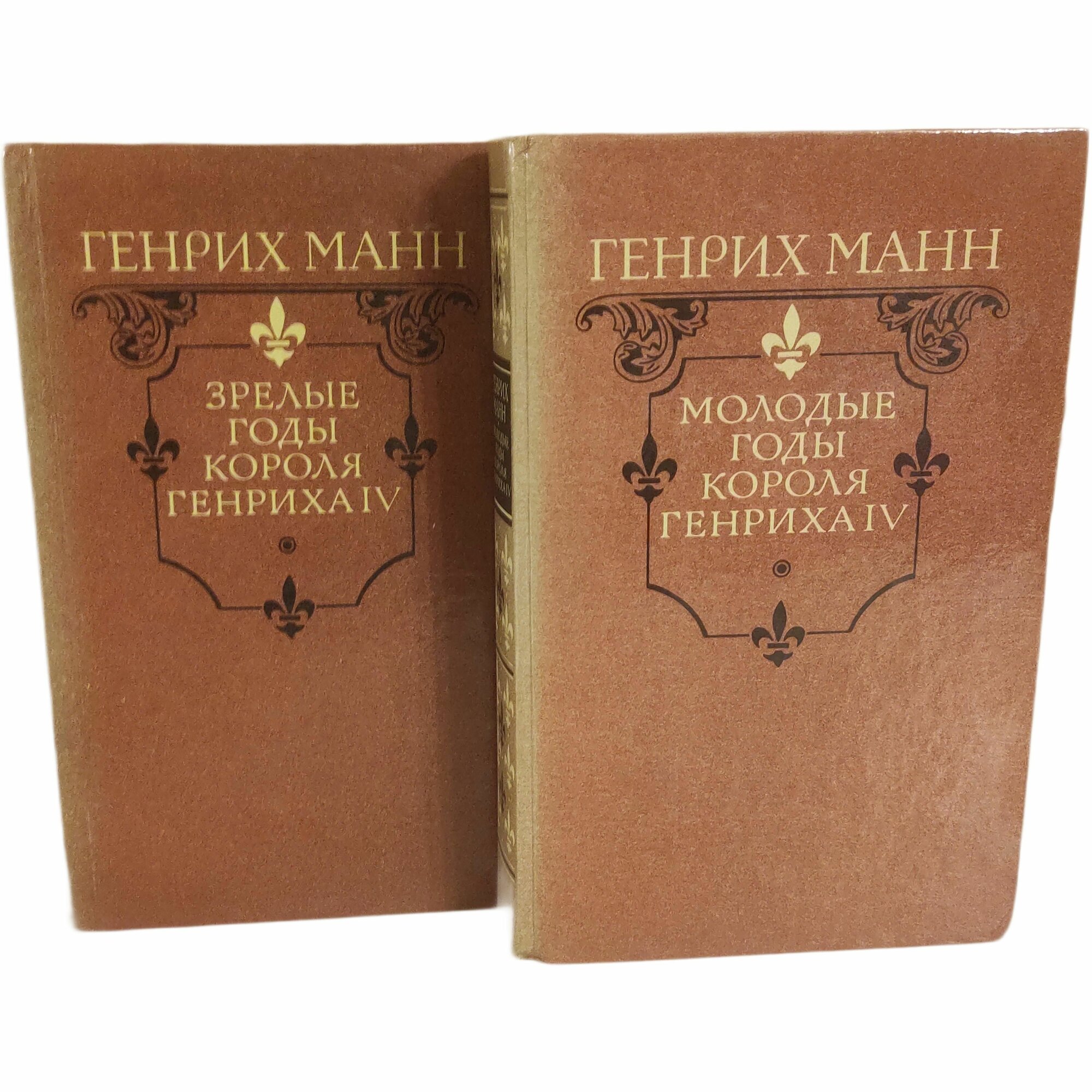 Молодые годы короля Генриха IV. Зрелые годы Генриха IV. 2 книги