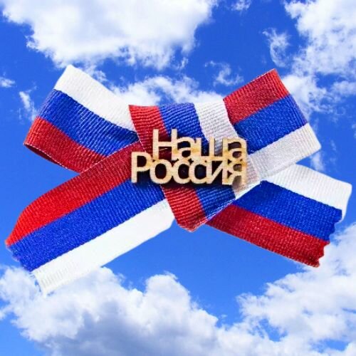 Значок Наша Россия дерево (триколор)