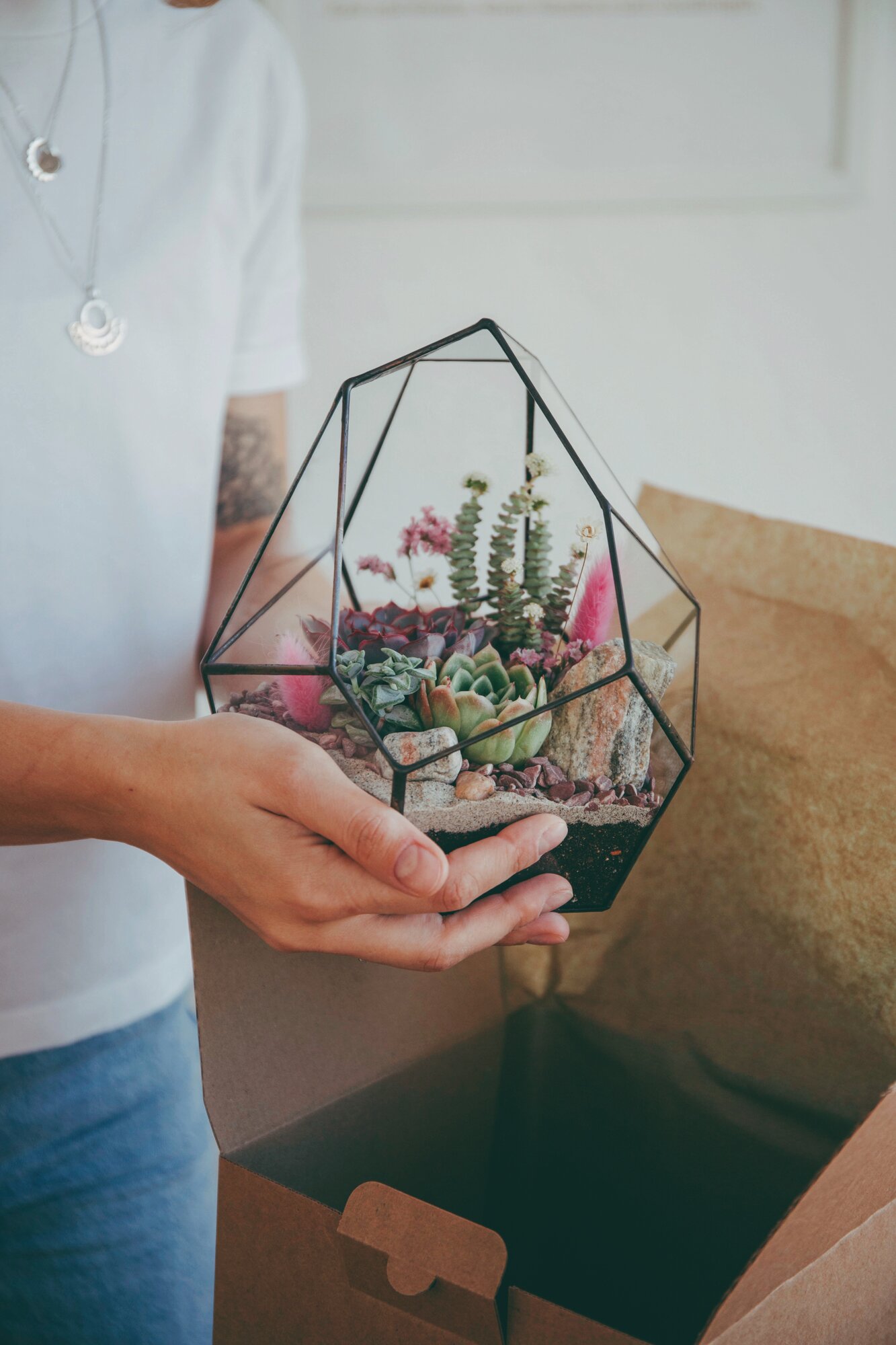 Флорариум с яркими неприхотливыми суккулентами Горячее сердце