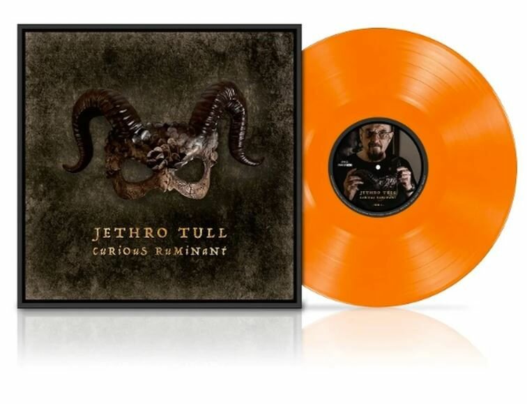 Виниловая пластинка Jethro Tull - Curious Ruminant LP Orange