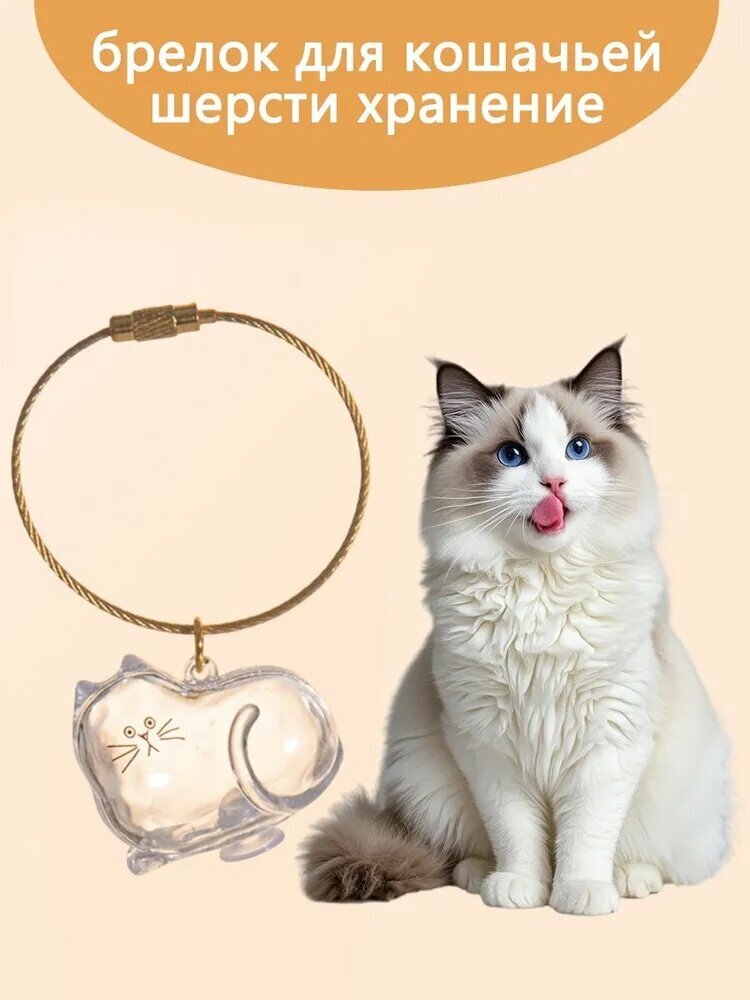 Прозрачная капсула для хранения кошачьей шерсти, пластиковый контейнер-брелок, коллекционный аксессуар для любителей кошек
