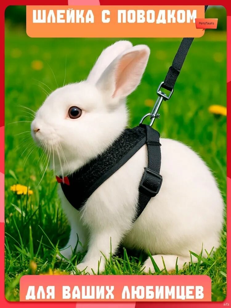Шлейка для грызунов : кроликов, шиншилл, хорьков, кошек, щенков