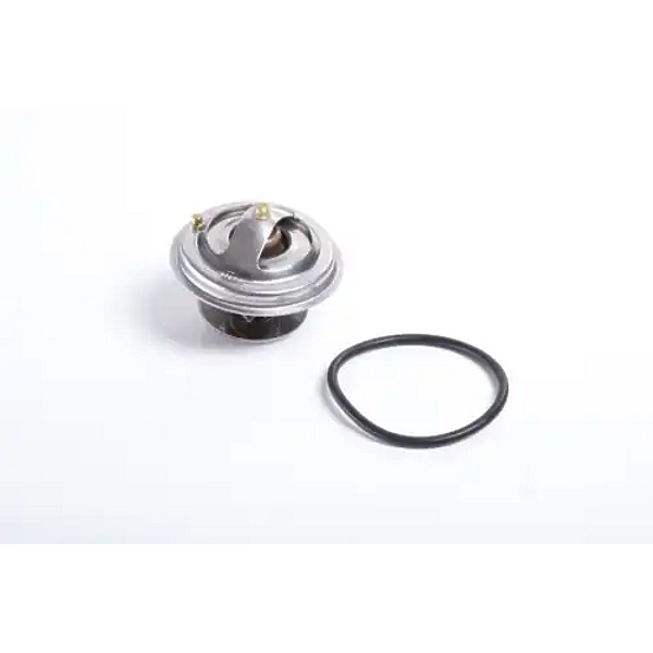 PE AUTOMOTIVE 029.010-00A (098420718 / 098424854 / 098467517) термостат