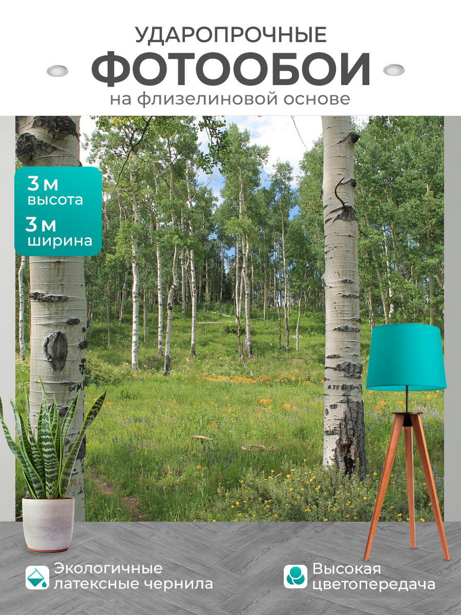 Фотообои моющиеся ударопрочные "Колорадо, осиновая роща, тащить" 300x300 см. флизелиновые на стену