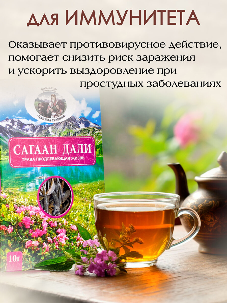 Сагаан Дали ( листья и стебли ) 10 гр. ручной сбор от Данилы Травника — фото 1