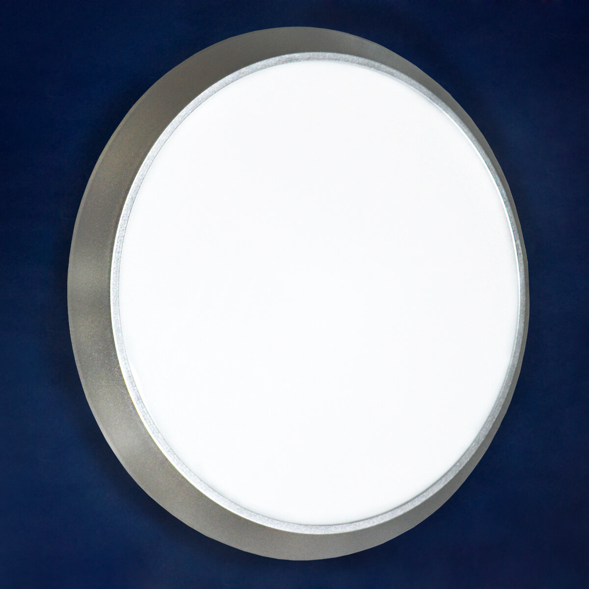 Светильник светодиодный VERNER LIGHTING 300мм 24W 06 FS/24W без пульта S 10 кв. м, акриловый