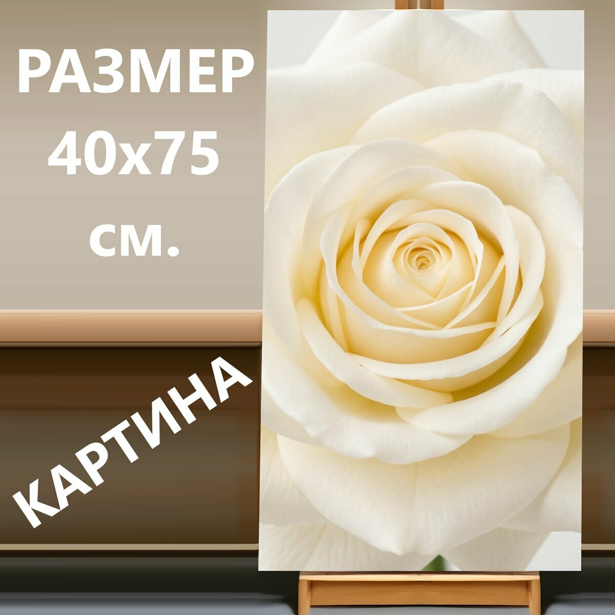 Картина на холсте "Белая роза в крупном плане. Нежный макро-кадр элегантного цветка с бархатистыми лепестками, кремово-молочными и золотистыми." на подрамнике 75х40 см. для интерьера