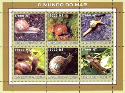 Почтовые марки Мозамбик 2002г. "Морская жизнь - улитки" Улитки MNH