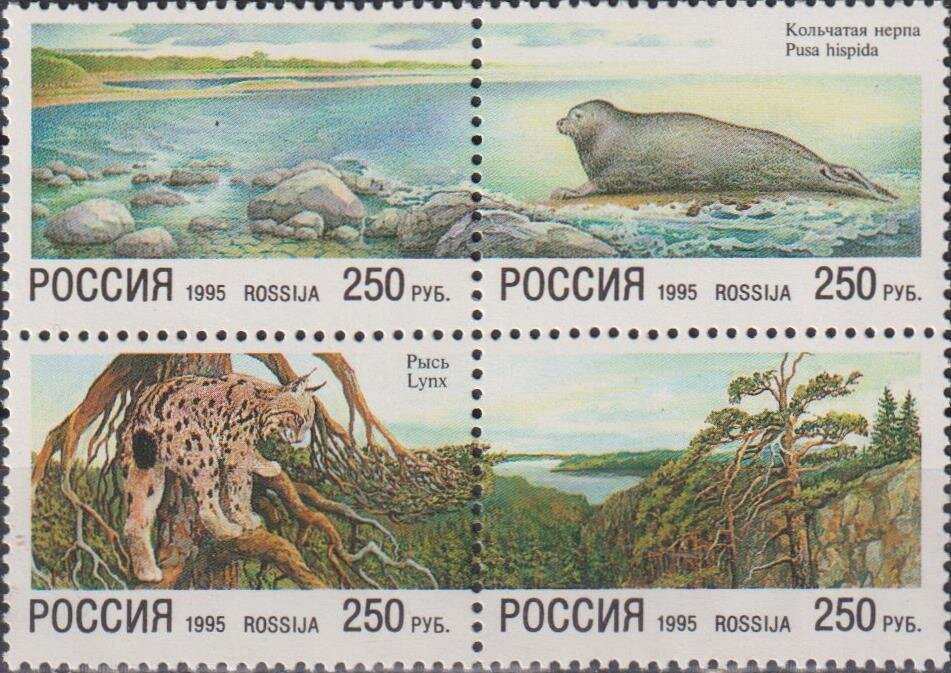 Почтовые марки Россия 1995г. "Природа" Флора, Фауна, Природа, Водоемы, Морские котики MNH