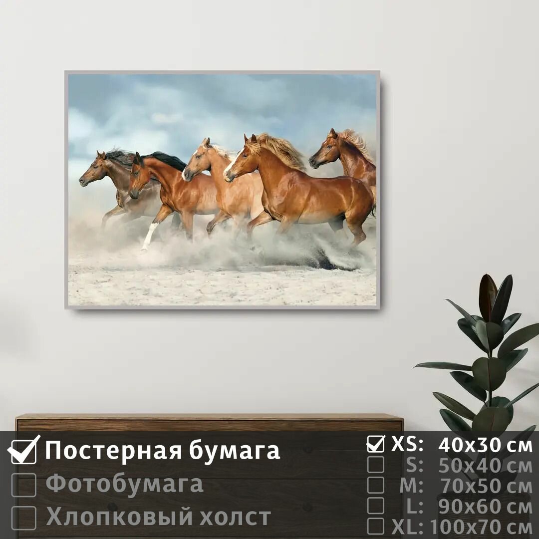 Постер на стену Лошади Скачут По Песку 40х30 см ПолиЦентр