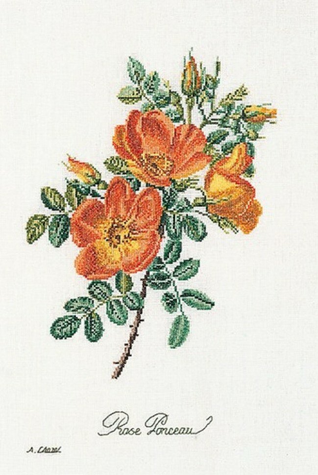 Набор для вышивания Thea Gouverneur #2028 Rose Chazal (Дикая роза), Счетный крест, 26 x 38 см
